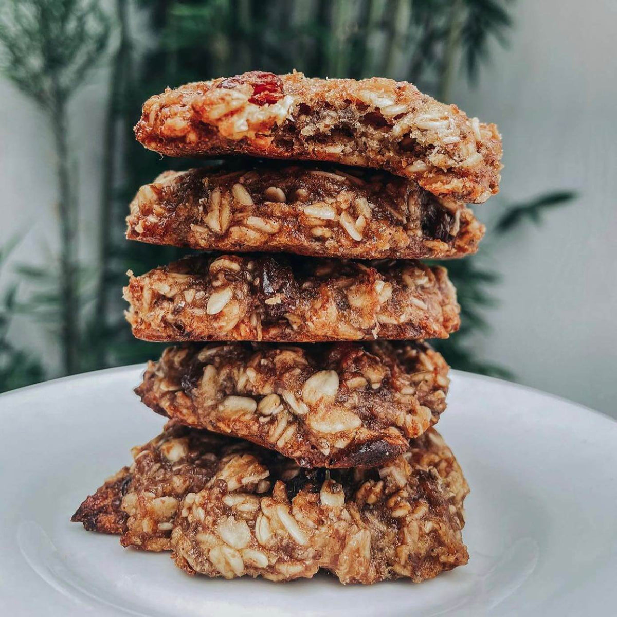 Protmeal Breakfast Cookies – Planet Protein, Inc.