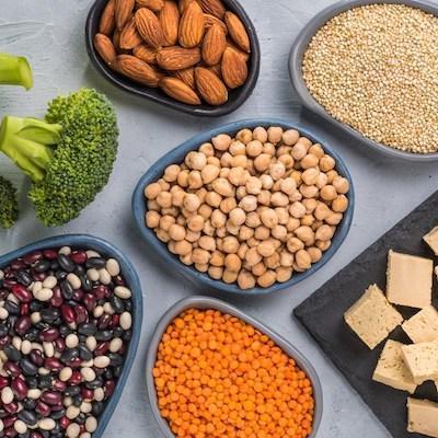 Where Does a Vegan Get Their Protein? – Planet Protein, Inc.